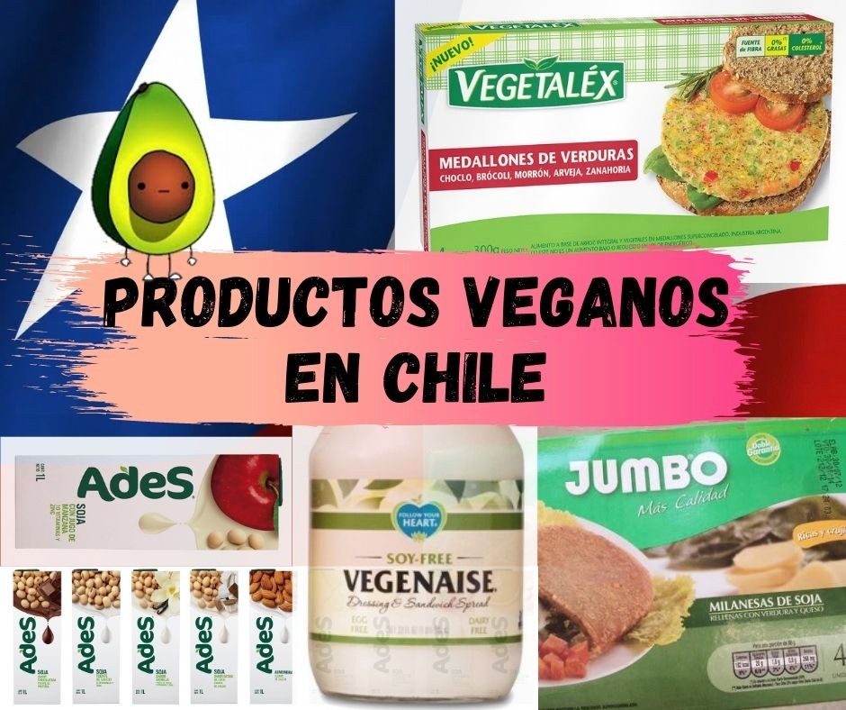 Veganos y Vegetarianos en Chile SON EL 14% - Dra. Vegana